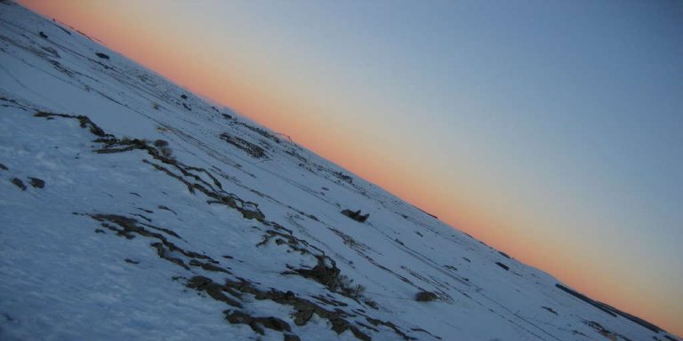 Cluster Analysis in R: Tips for Great Analysis and Visualization ...