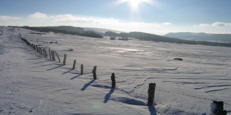 Line Types in R: The Ultimate Guide for R Base Plot and GGPLOT - Datanovia