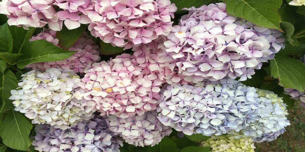 Determining The Optimal Number Of Clusters: 3 Must Know Methods - Datanovia