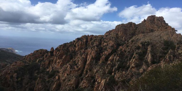 GGPlot Colors Best Tricks You Will Love - Datanovia