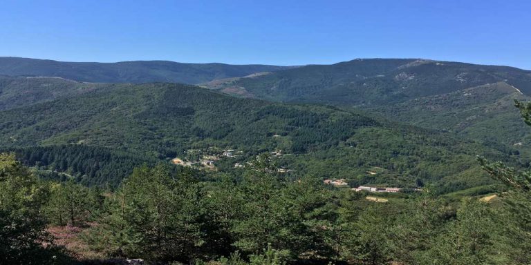 How to Create a GGPlot Stacked Bar Chart - Datanovia