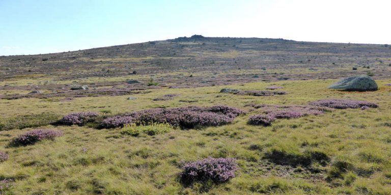 PCH in R Best Tips - Datanovia