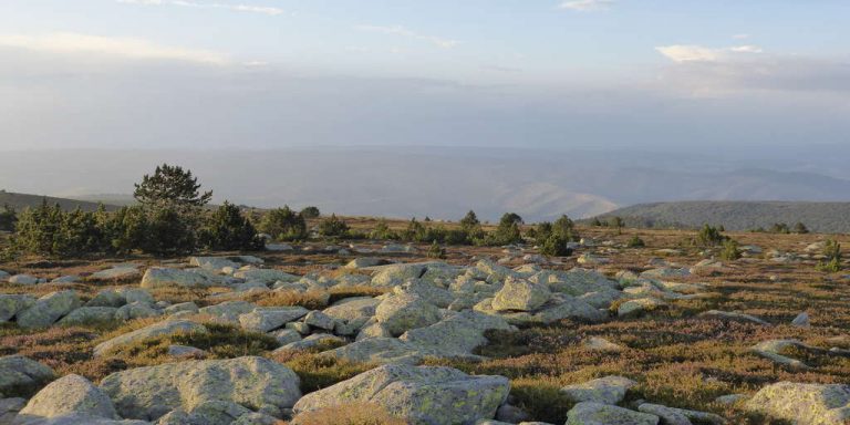 The Ultimate Guide to Cluster Analysis in R - Datanovia