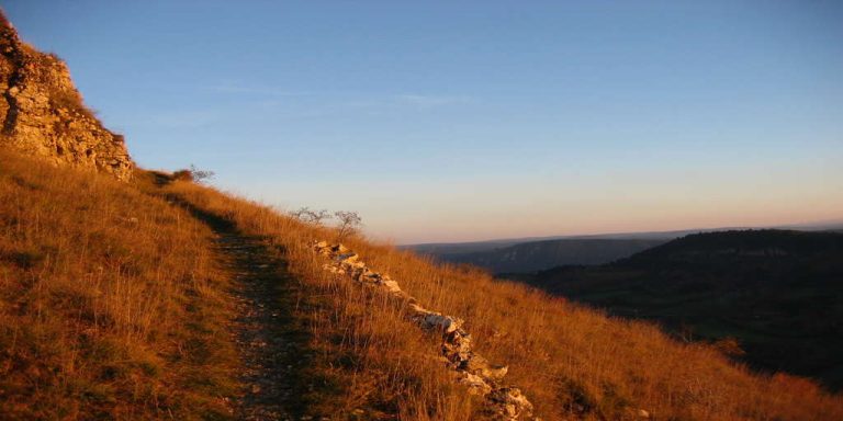 Top R Color Palettes to Know for Great Data Visualization - Datanovia