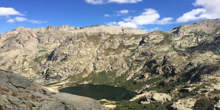 How to Create a Pie Chart in R using GGPLot2 - Datanovia