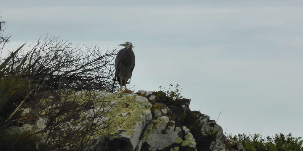 Docker Compose Wait For Redis Container To Be Ready Easy Solution 6802